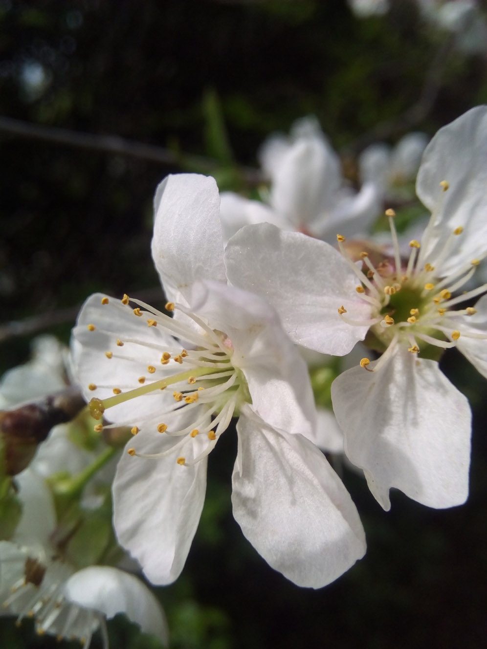 Affinity – Art, Fun, & Nonsense.