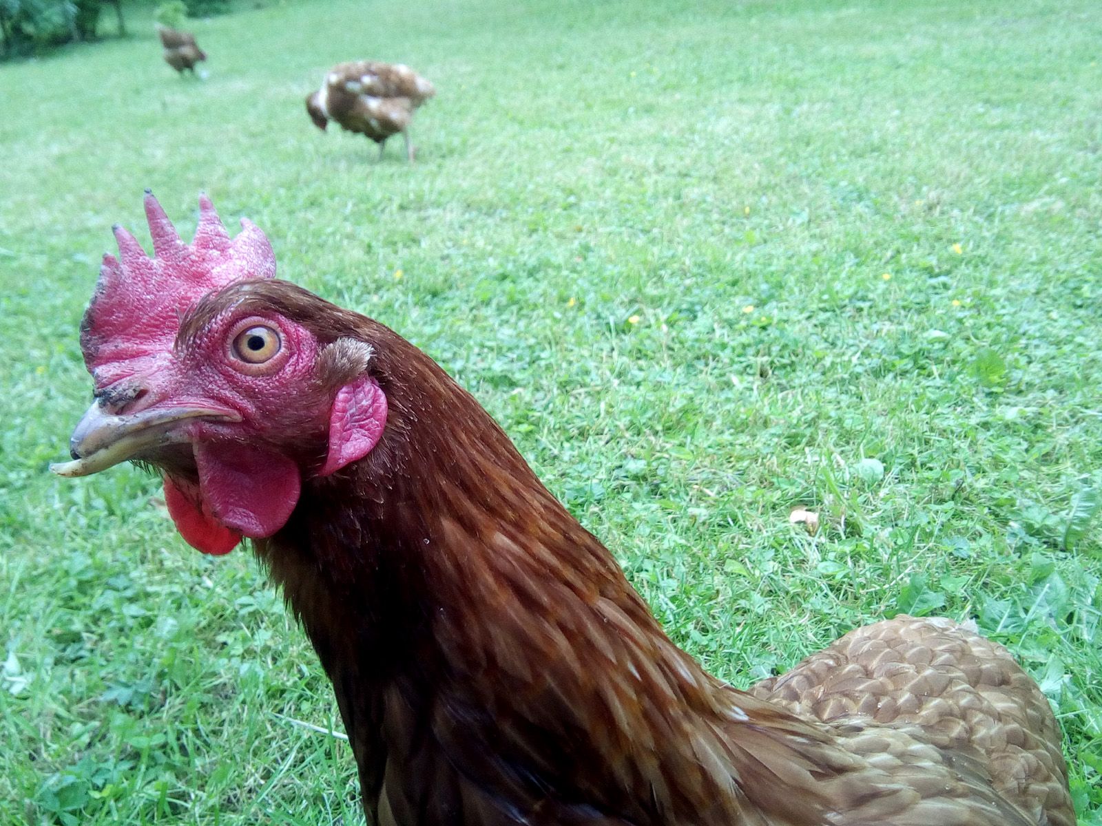 Affinity – Art, Fun, & Nonsense.