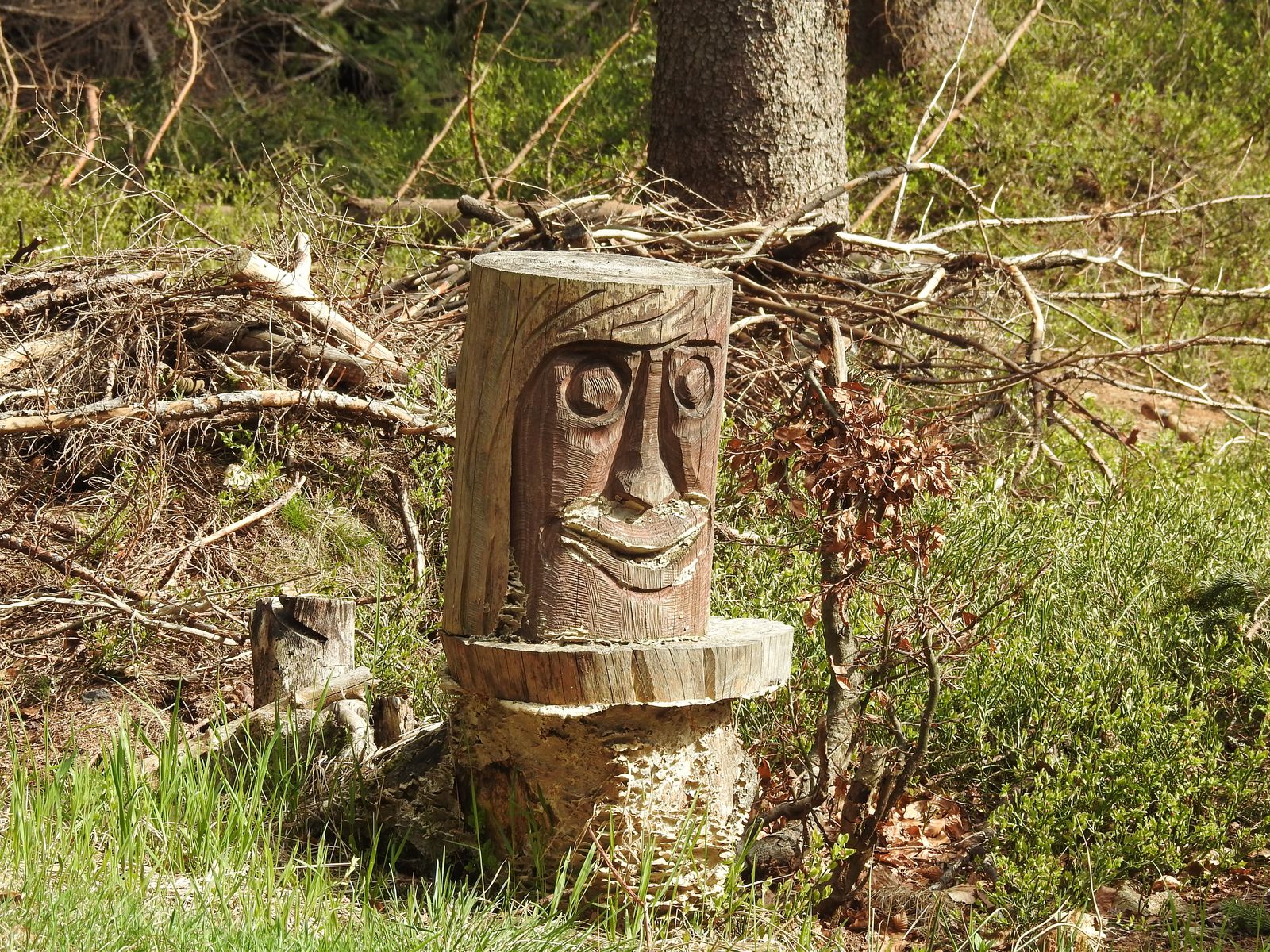 Forest Path Statues – Part 3 – Faces
