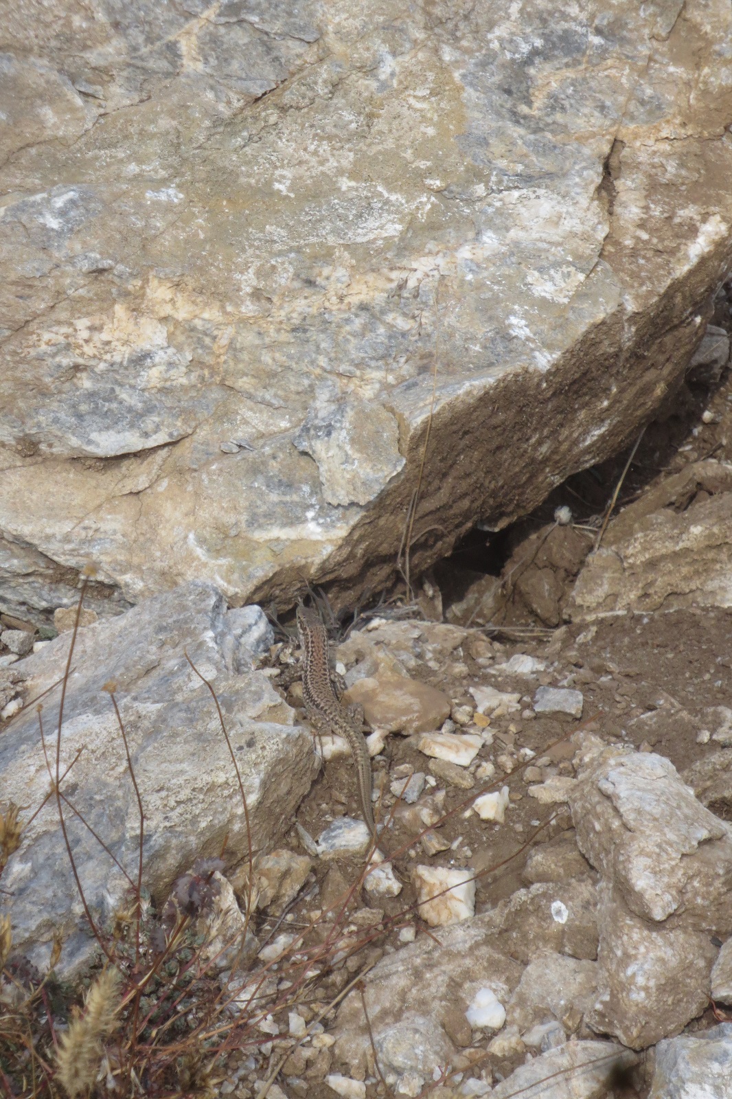 Macedonia 2 – A Glorious Three-fer