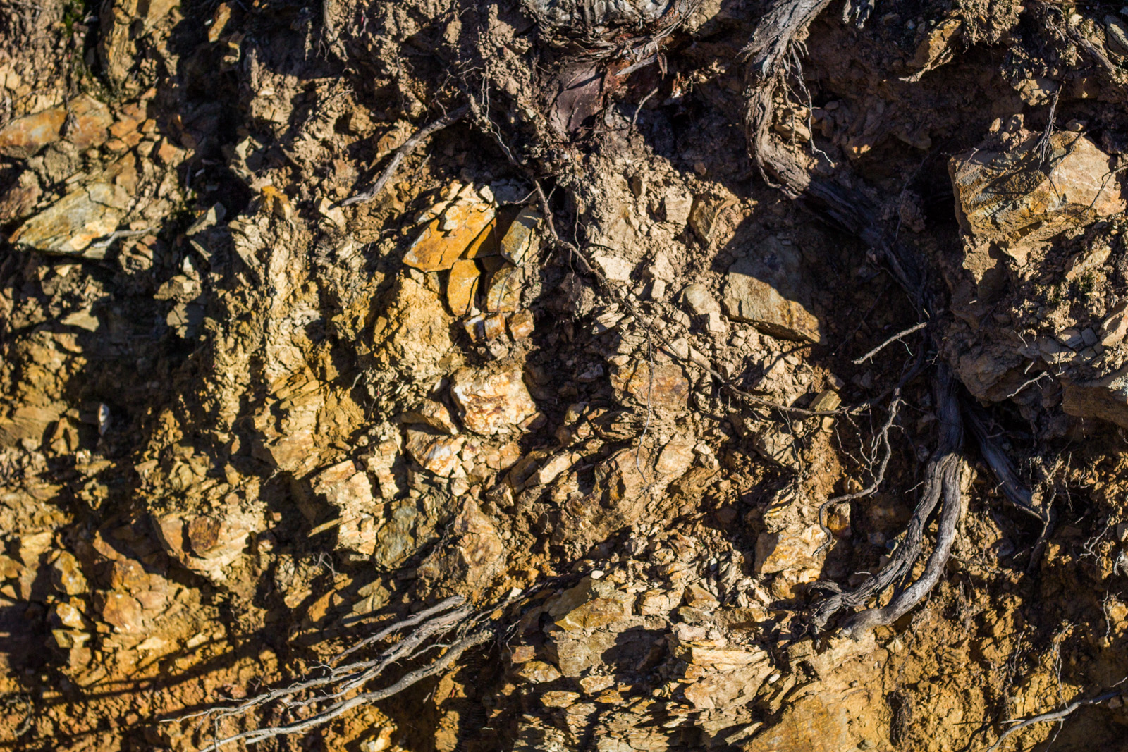 Surrounded by Rocks: An Exploration Series, Chapter 7