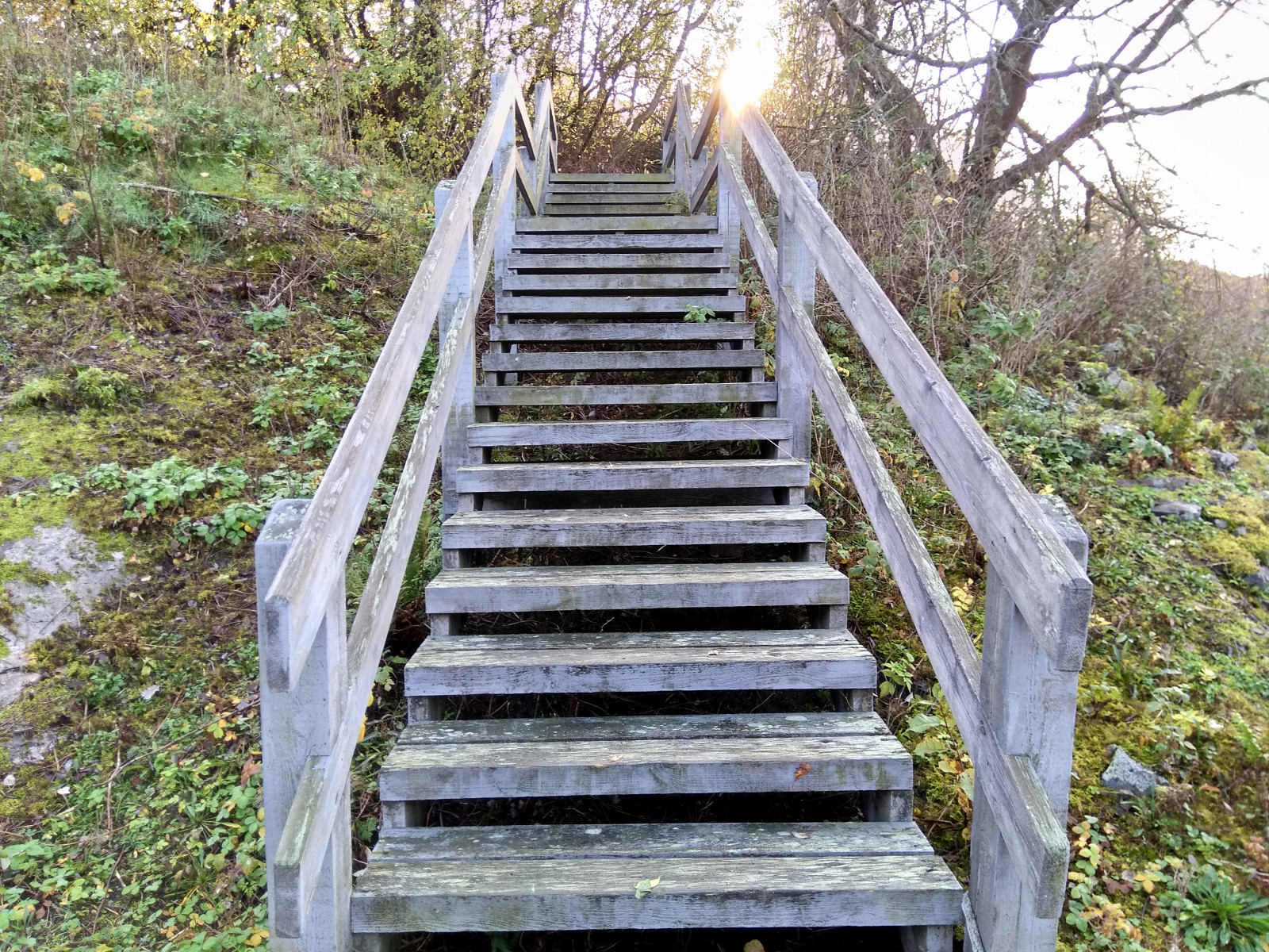 Harakka in Autumn : Chapter 4