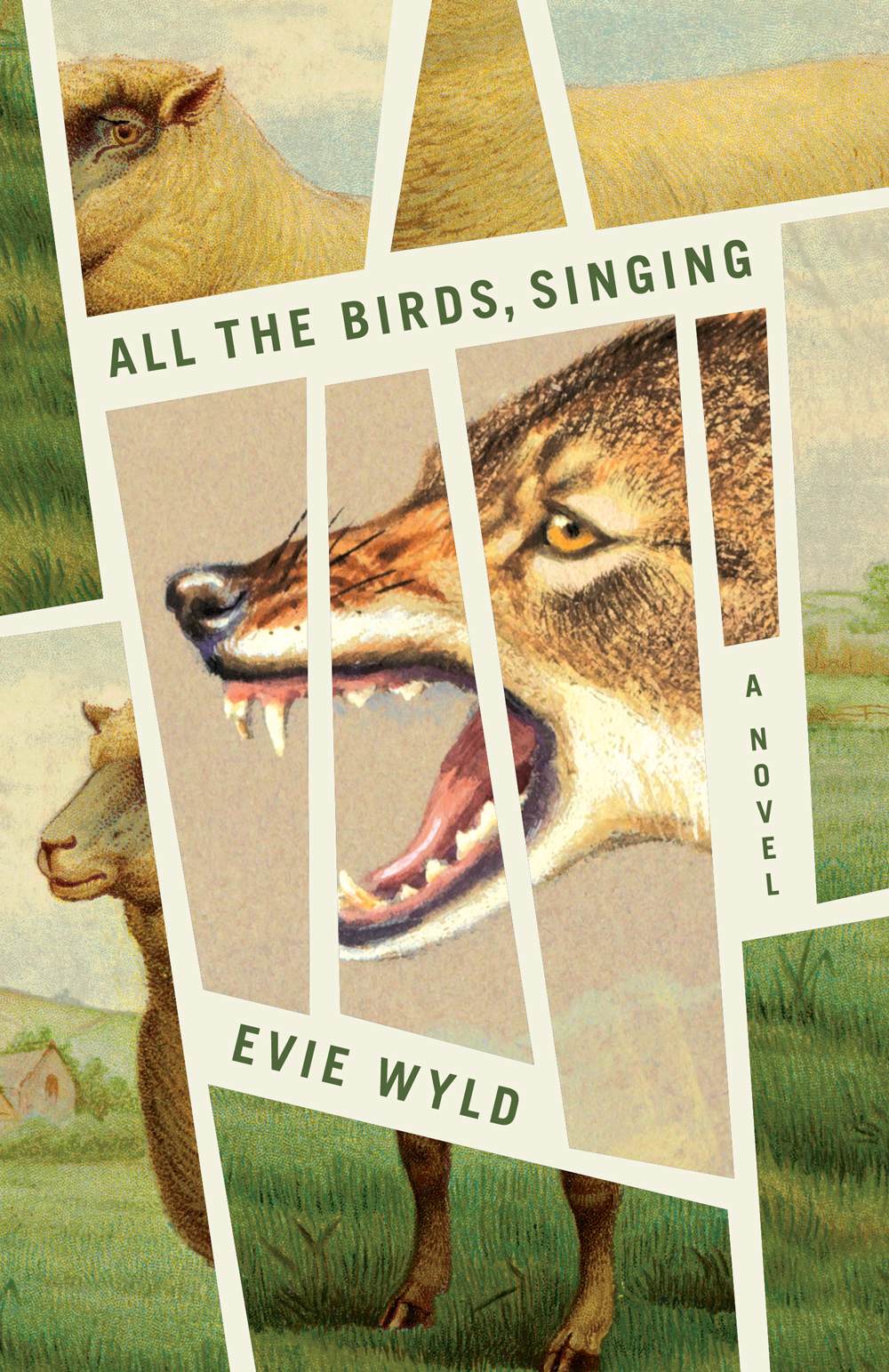 The Art of Book Design: All The Birds, Singing