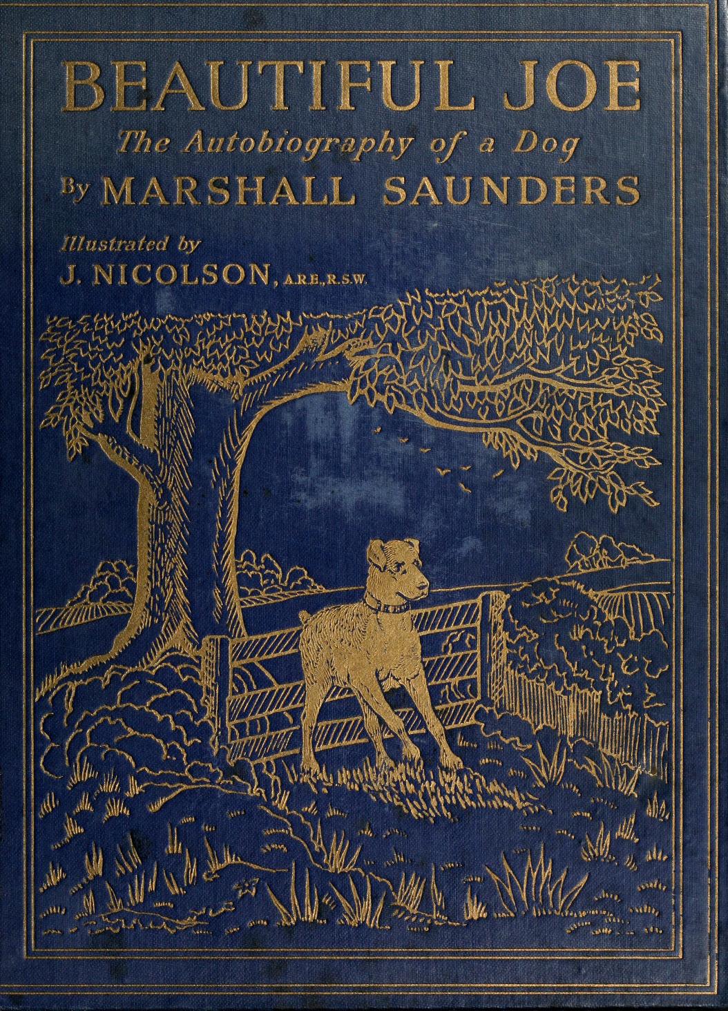 The Art of Book Design: Beautiful Joe