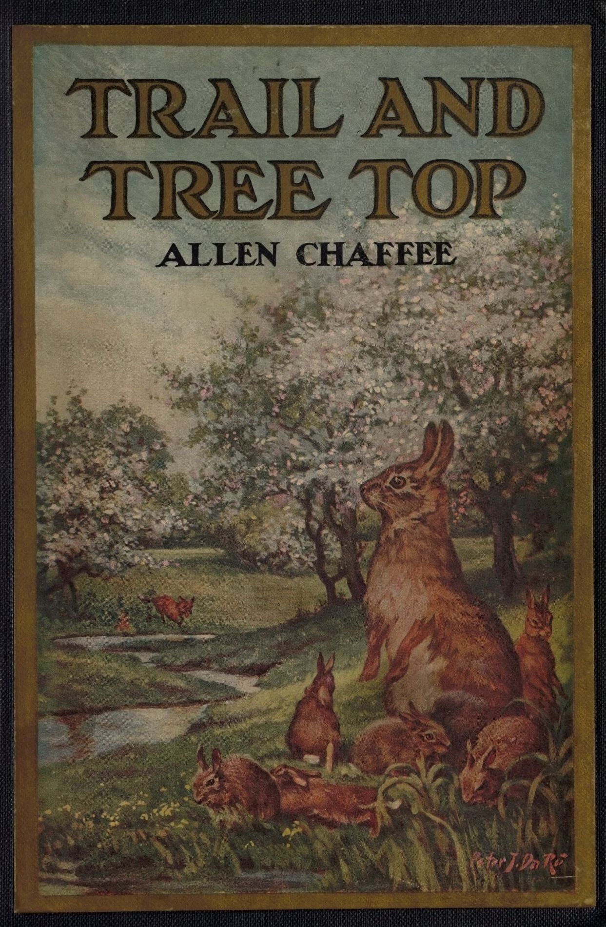 The Art of Book Design: Trail and Tree Top