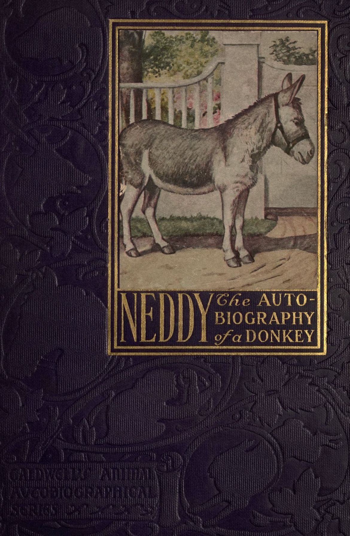 Neddy, The Autobiography of a Donkey