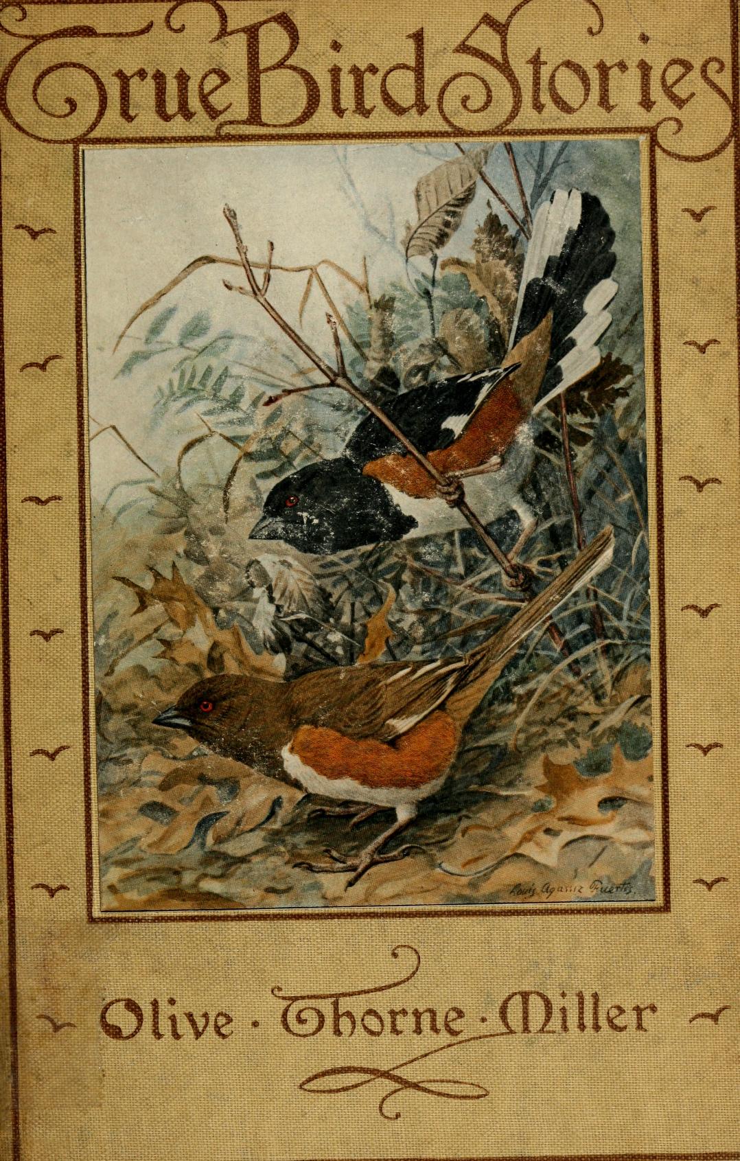 The Art of Book Design: True Bird Stories