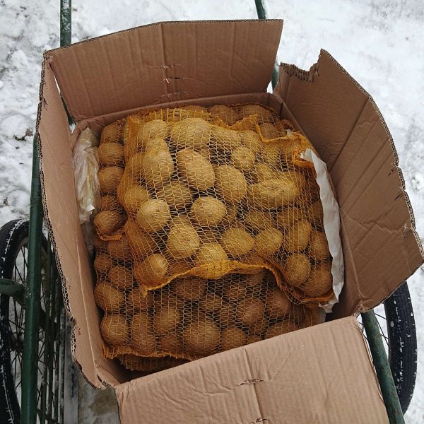 The Greater Gardening of 2026 – Part 5 – Purchasing Potatoes