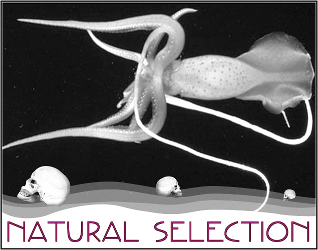 Natural Selection Part 3 (Darwintine Story Chain)