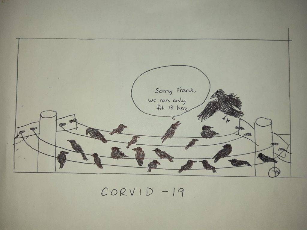 Corvid-19 cartoon and an update: Organizing/strike post will go up ...
