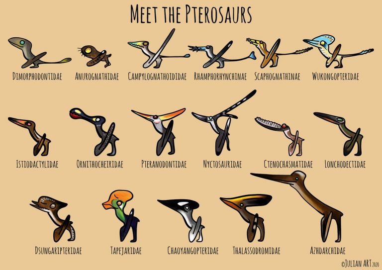 Pterosaurs are cute