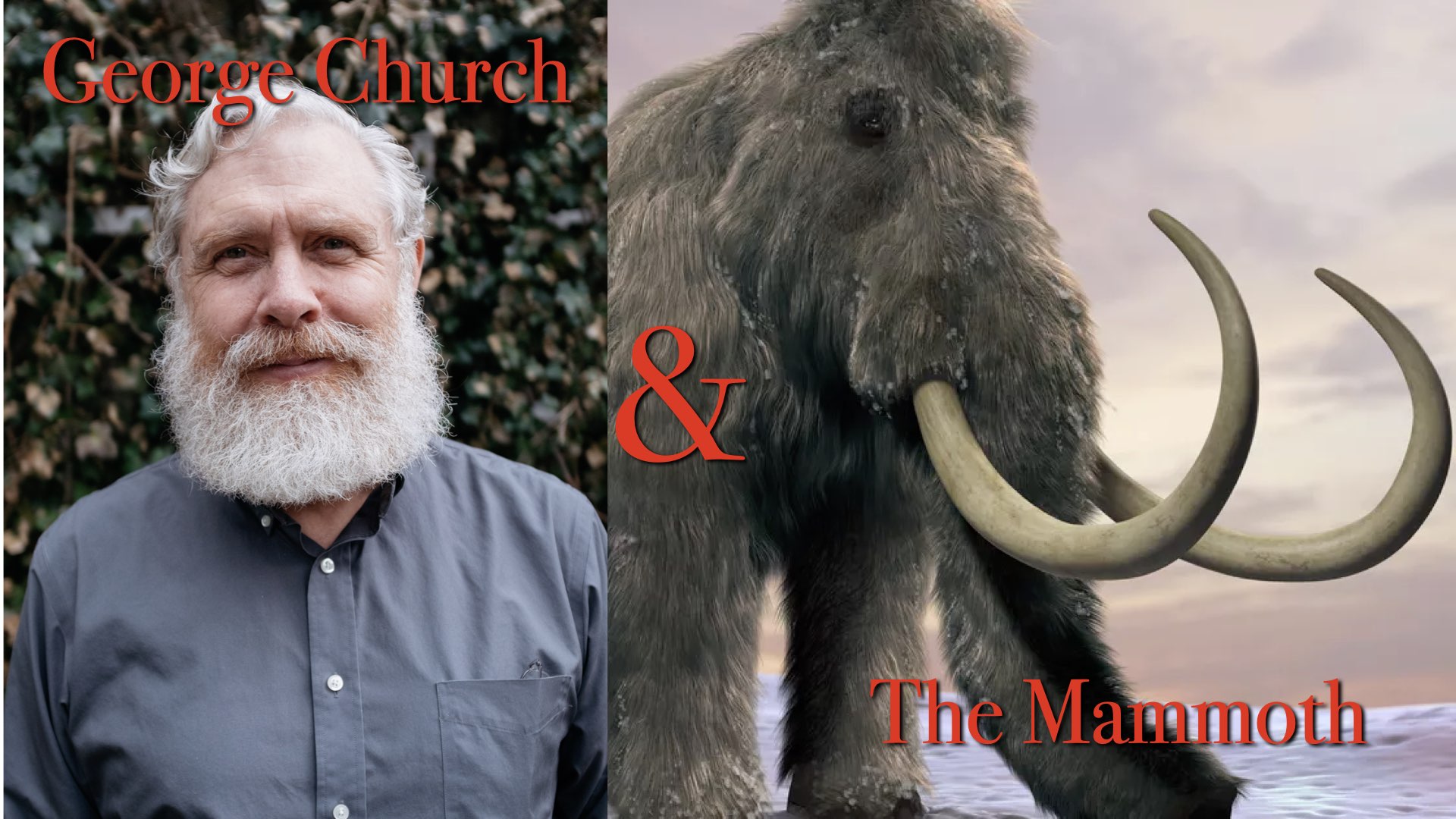 It’s all hype: we’re a long way from reconstructing a mammoth