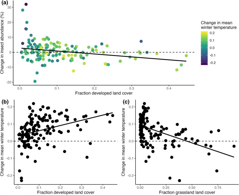 Are insect populations declining or not?