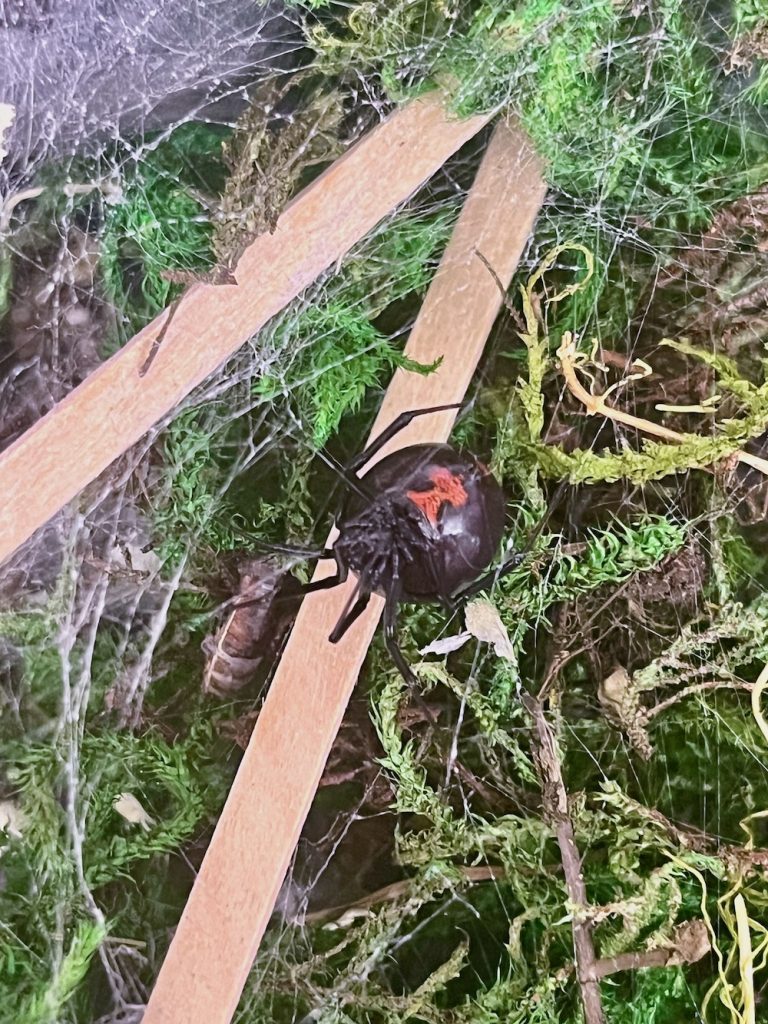 Pray for the gallant heroes who must meet this behemoth