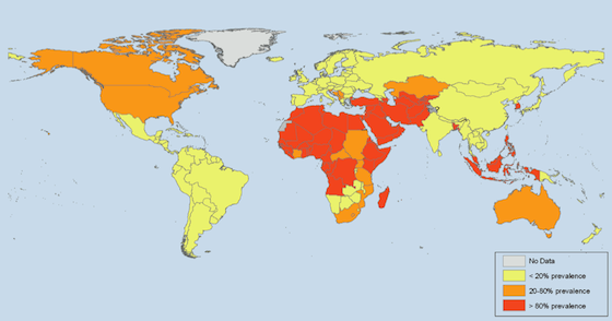 global circumcision map